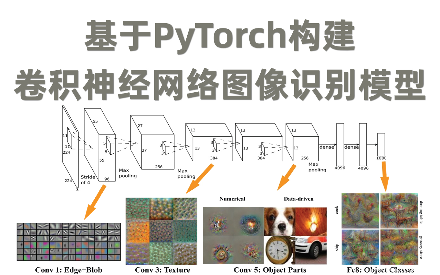 基于PyTorch 使用卷积神经网络构建图像识别模型,深度学习初学者必备...