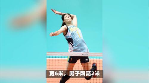 一文看懂!气排球怎么打,规则都有啥,纯小白必看