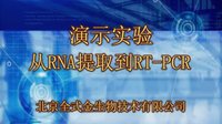 【从RNA提取到RT-PCR】--全式金生物--Trans系列技术讲座