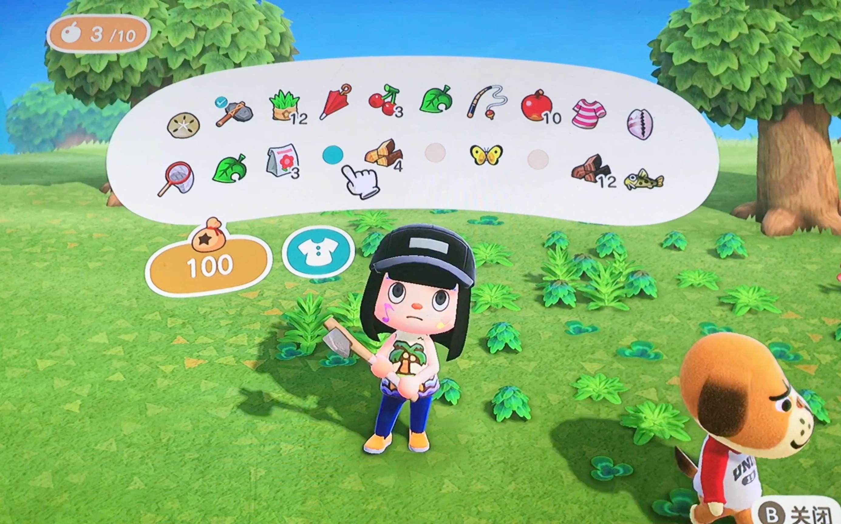 switch动物之森,第二天,钓鱼,抓蝴蝶,砍树,佛系人生