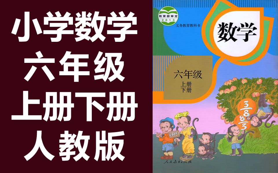 数学六年级数学上册+下册 人教版 小学数学6年级数学下册+上册 部编...