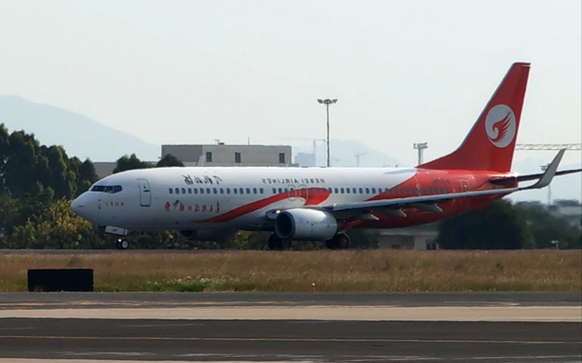 石家庄号彩绘机‖波音B737客机起飞厦门高崎国际机场