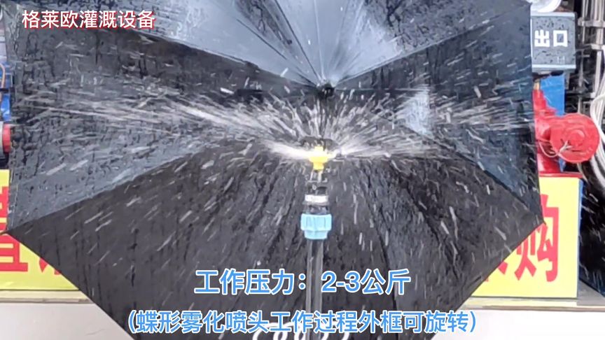 蝶形雾化喷头喷水效果