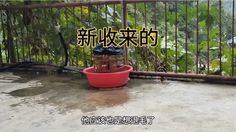 请收的小将,将和我一起下广东打螺丝
