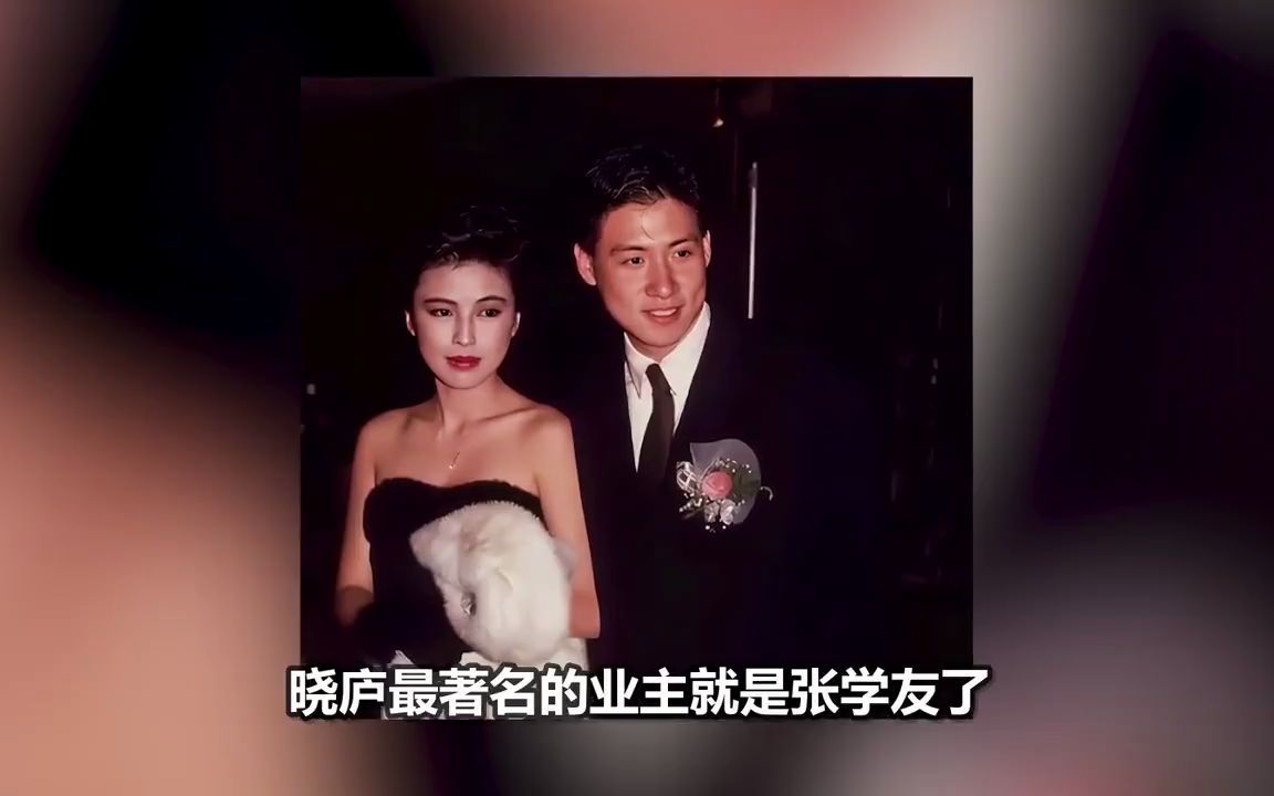 张学友超级豪宅,邻居是李嘉欣,当年一亿没人要,现在五亿买不到