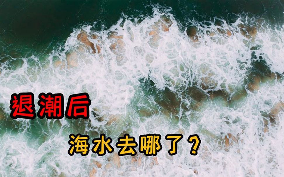 大海为何会涨潮退潮?海水在退潮以后去哪了?看完涨知识了