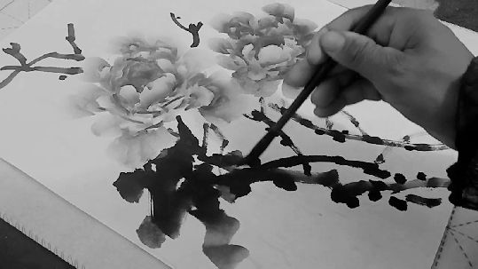 白老师画的水墨牡丹,真是美丽极了!