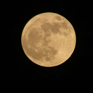 手机打电话星海镖师 