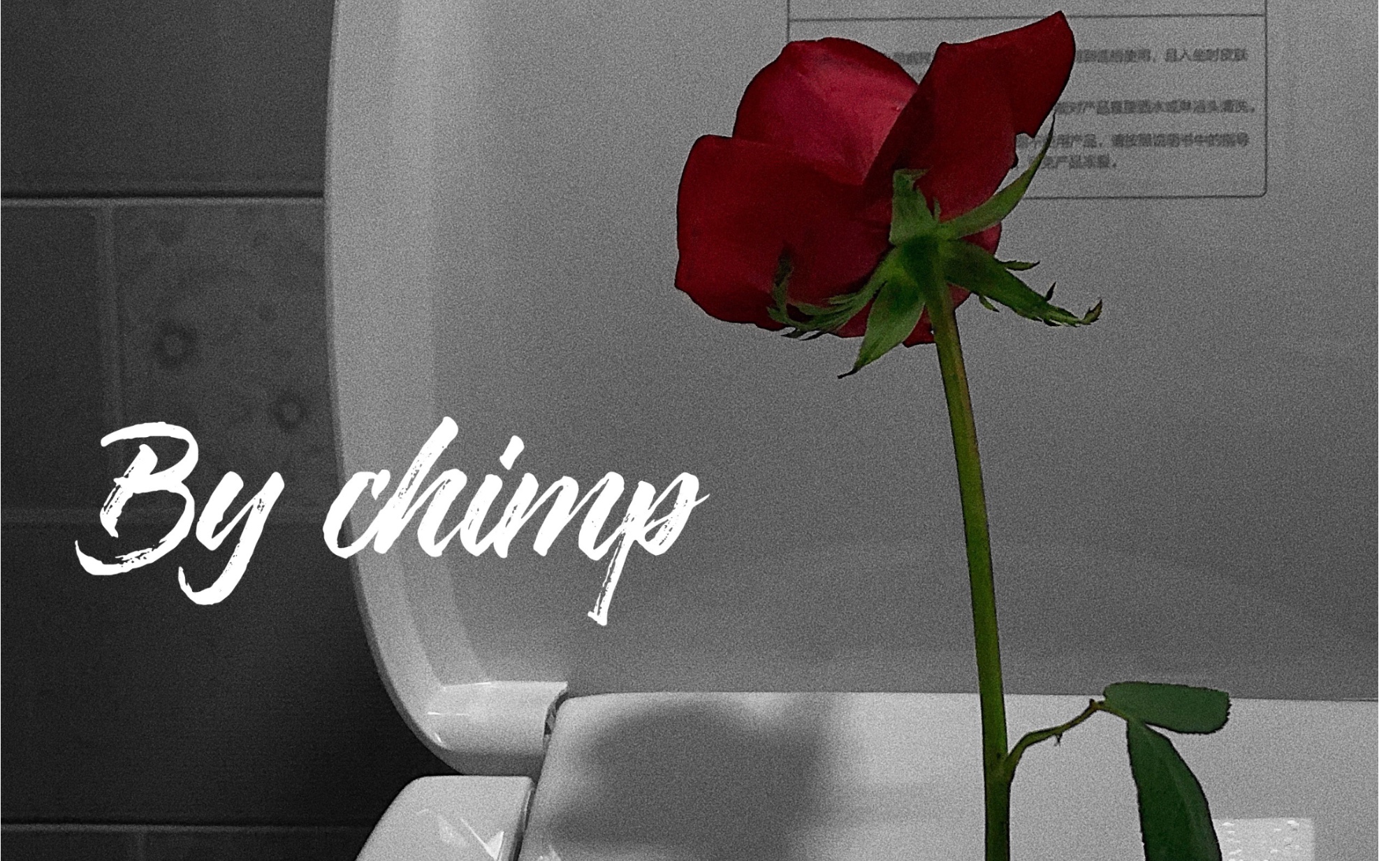 【原创自制】Snapseed如何保留作品局部颜色|提升高级感 超详细教程～