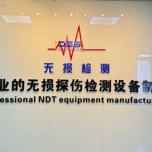 苏州德斯森电子贺飞 