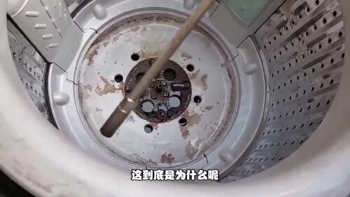 洗衣机脏了别急洗!一招让内桶污垢自动脱落