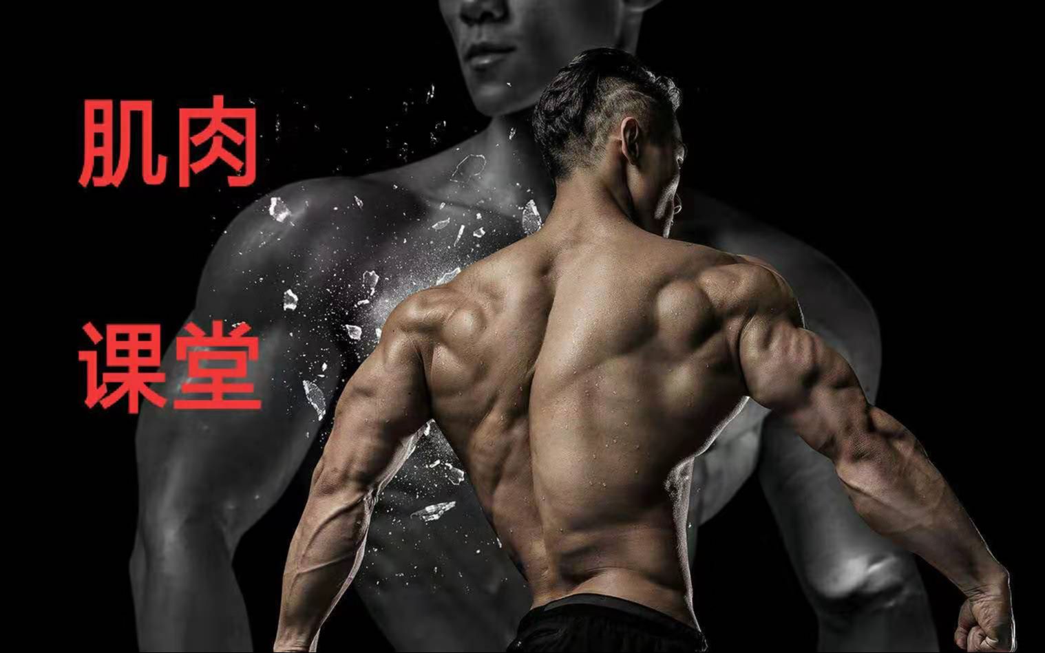 【肌肉课堂】了解你熟悉的陌生知识--手臂篇
