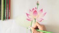 七彩小画家: 彩铅绘画出水芙蓉, 3分钟快速画出荷花, 儿童简笔画