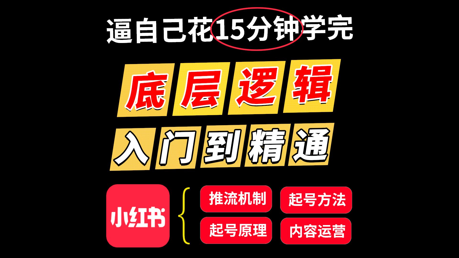 小红书运营从入门到精通,仅需搞懂这4步,小红书矩阵打法!小红书推流...