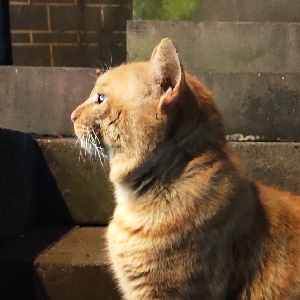 你似人間四月天 