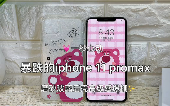iPhone 11 promax 苹果第一款磨砂玻璃后壳