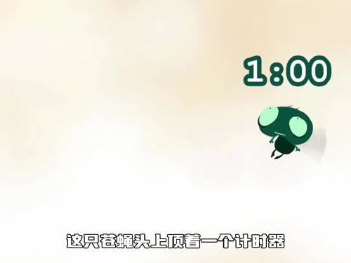苍蝇的一分钟人生,迷茫和无措,都是我们人生的缩写