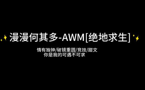 【推文】漫漫何其多-AWM[绝地求生]