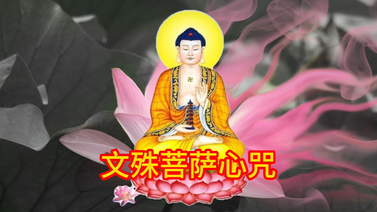 道一法师《文殊菩萨心咒》孩子智慧增长,金榜题名,为才子祈福