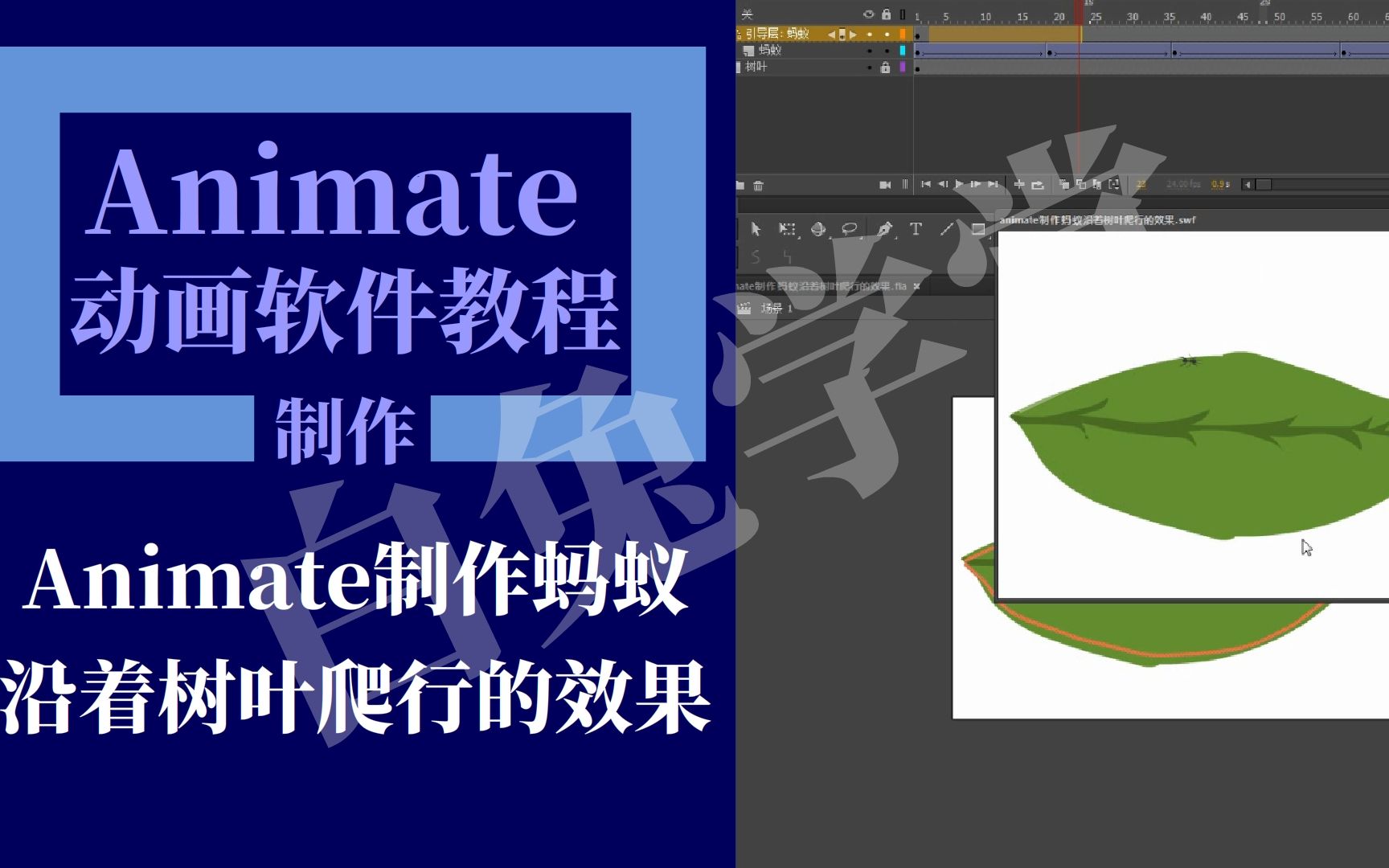 animate制作蚂蚁沿着树叶爬行的效果