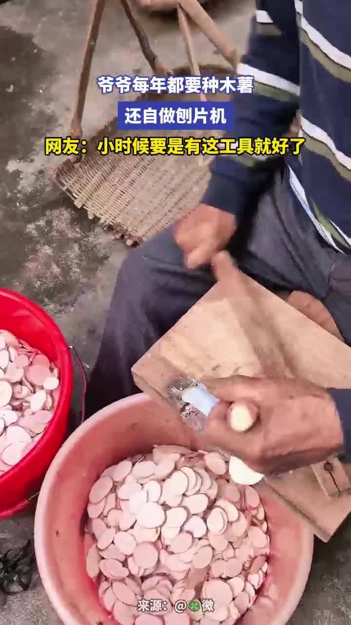 爷爷每年都要种木薯,还自做刨片机,网友:小时候有这工具就好了