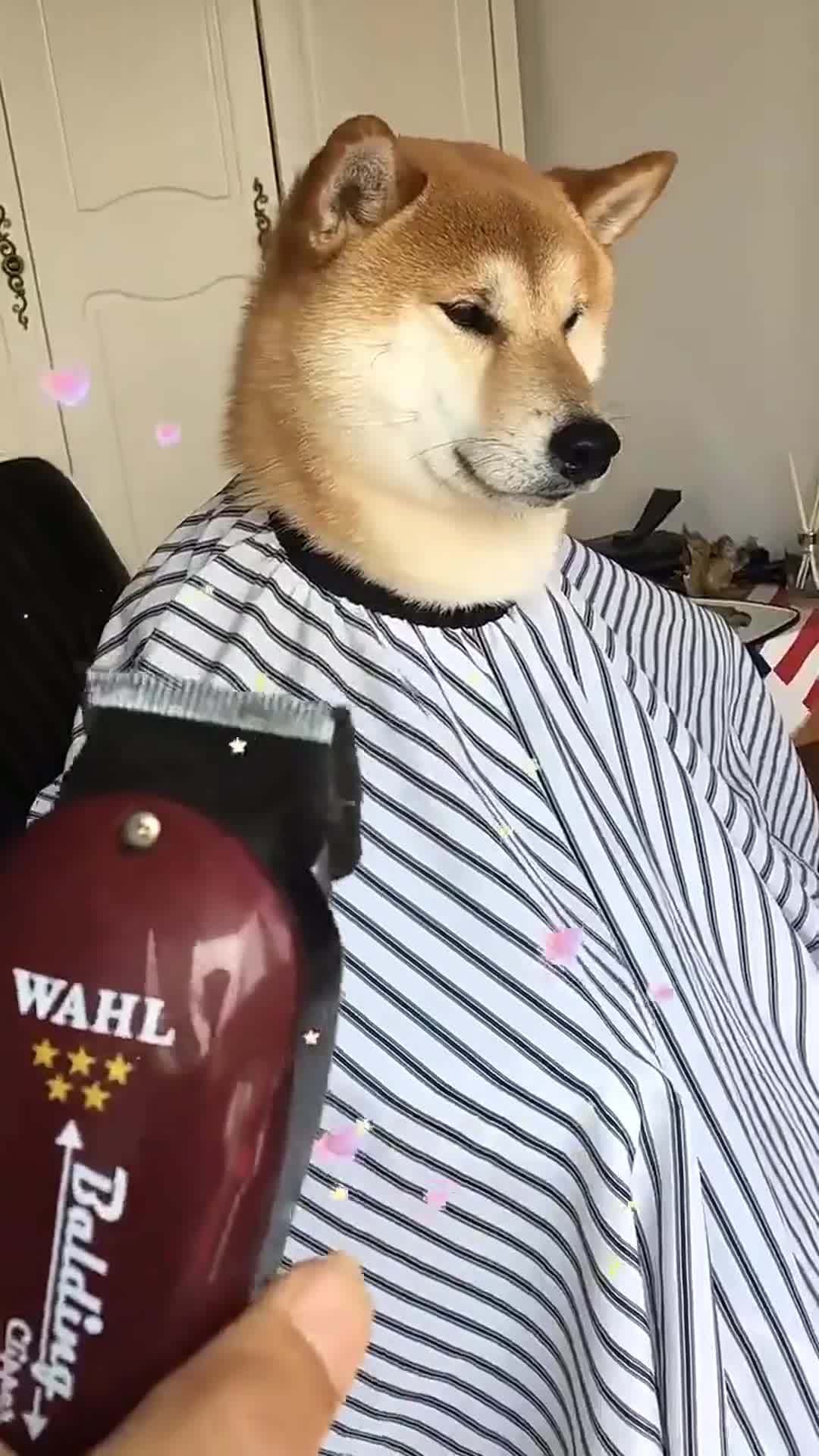 这个tony老师还可以哦!