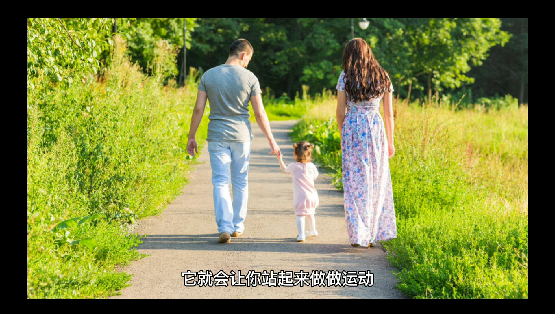 前额皮质的作用——摘自《自控力》