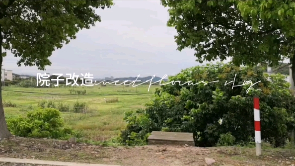 院子改造|翻新水泥地面/整理院子的琐碎日常