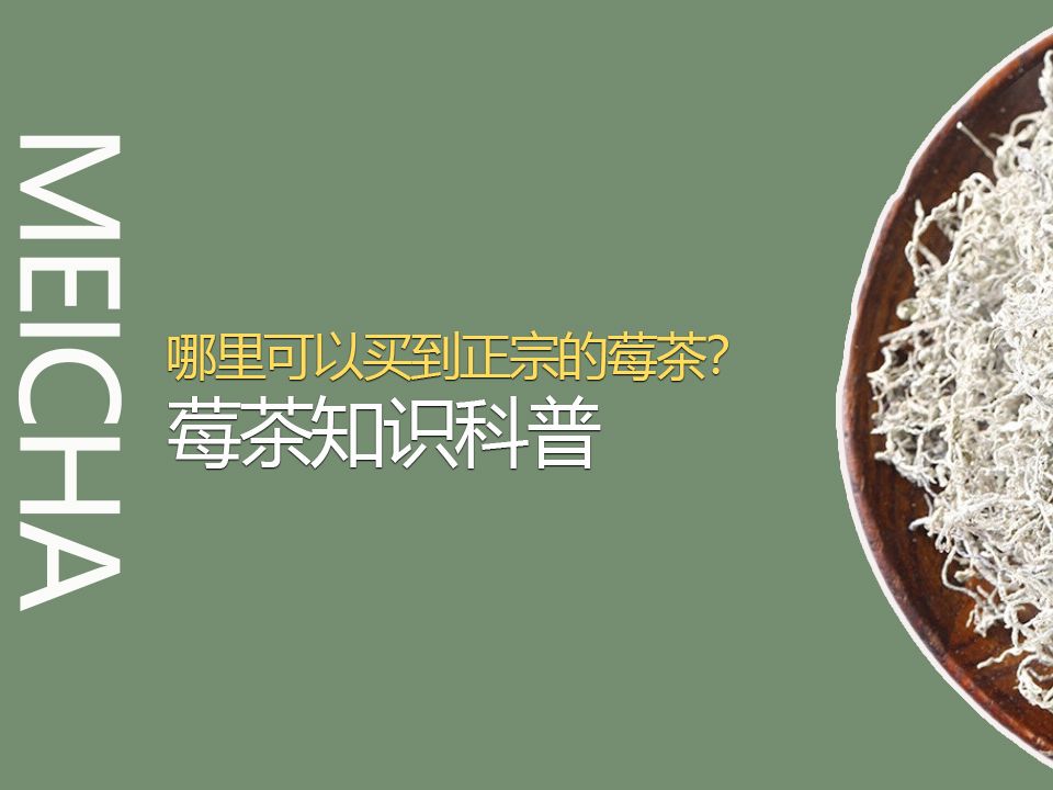 哪里可以买到正宗的莓茶?