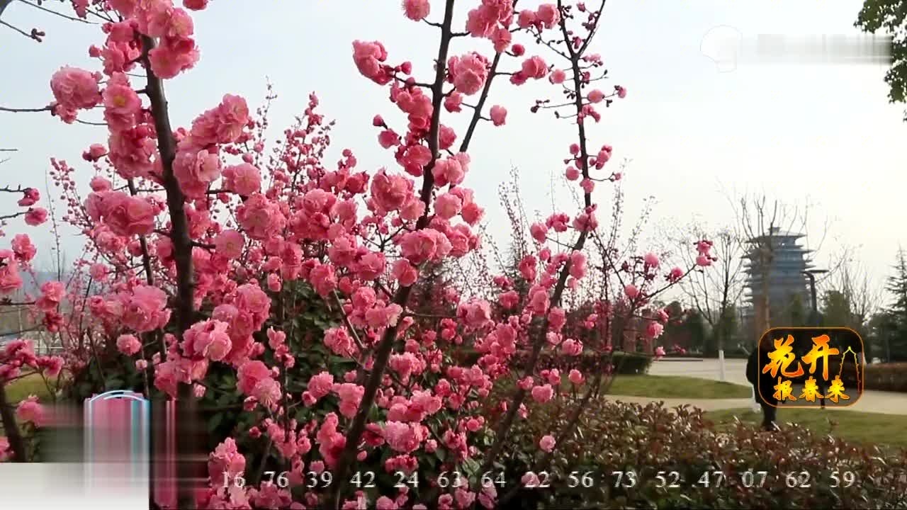 勉县在哪里打印社保缴费.