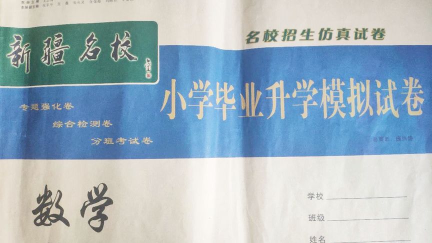 乌鲁木齐小升初毕业升学模拟试卷(四)