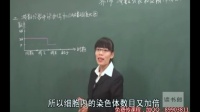 生物高中必修2__第2章第1节·减数分裂和受精作用(二)
