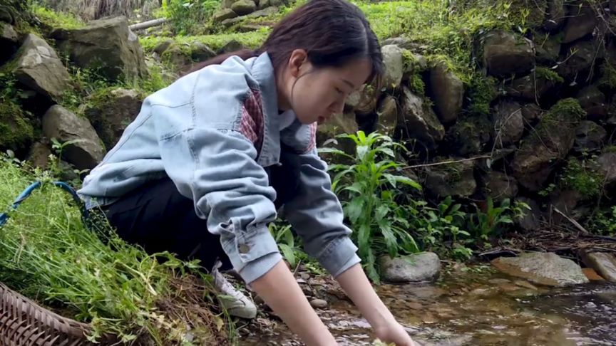 三月三地菜煮鸡蛋