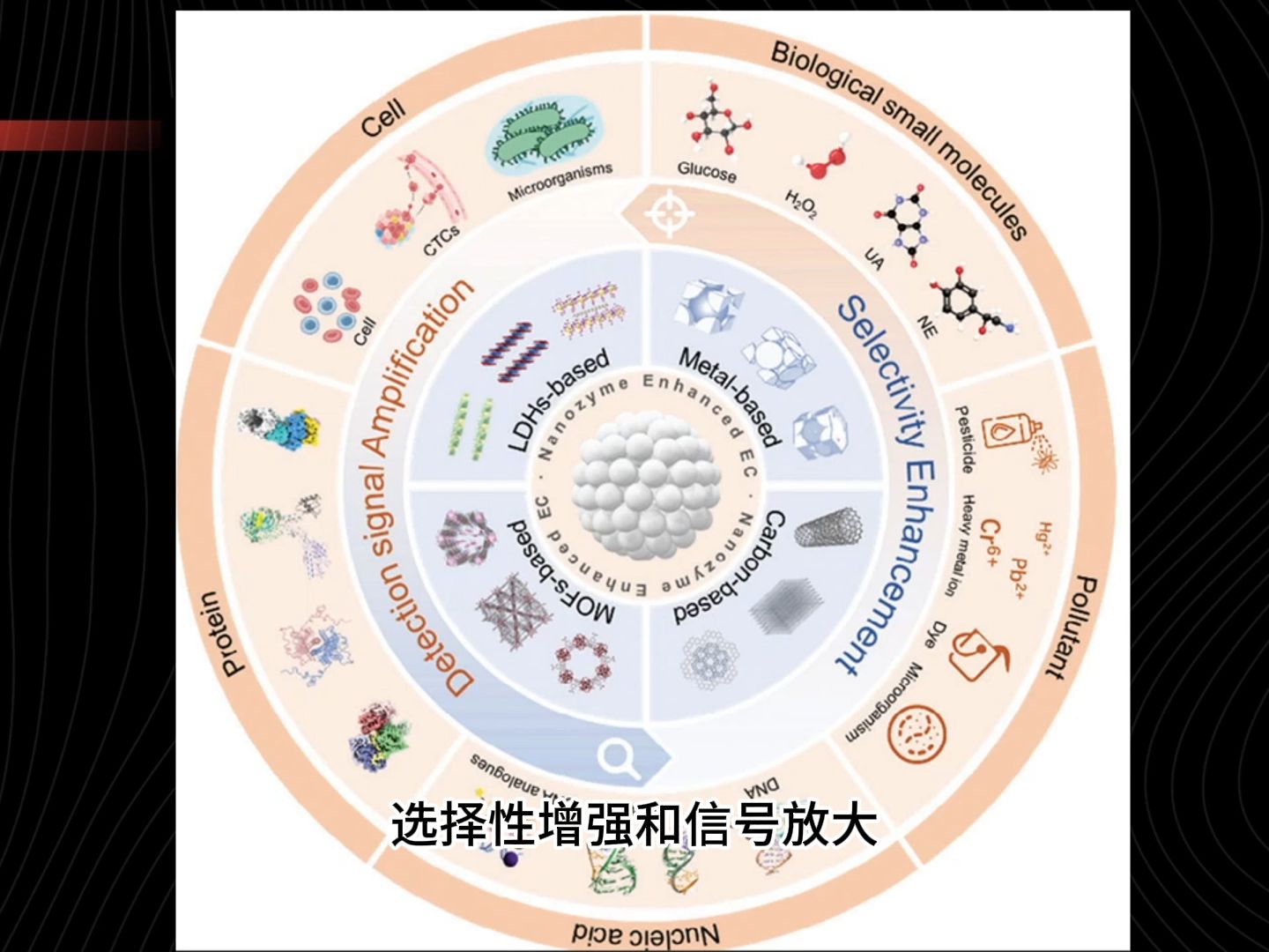...生物学进展 2023.12.6 纳米酶增强的电化学生物传感器机制与应用。