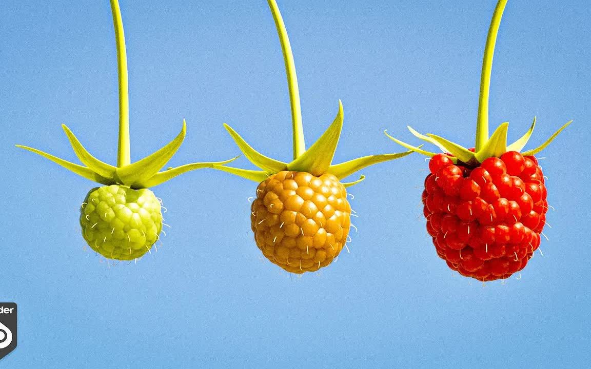 blender 程序节点 用法 (初学者程序节点)