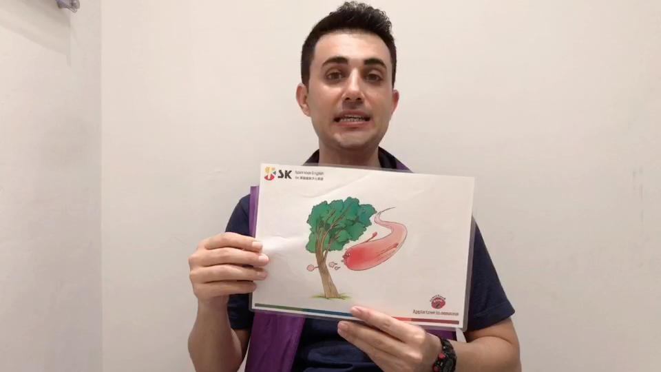 apple tree 外教单词