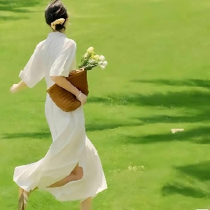 品牌电商控价南星 