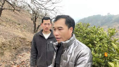 炮哥怒斥小勇抠门拒试管,转身带他深山寻老中医!全程高能反转