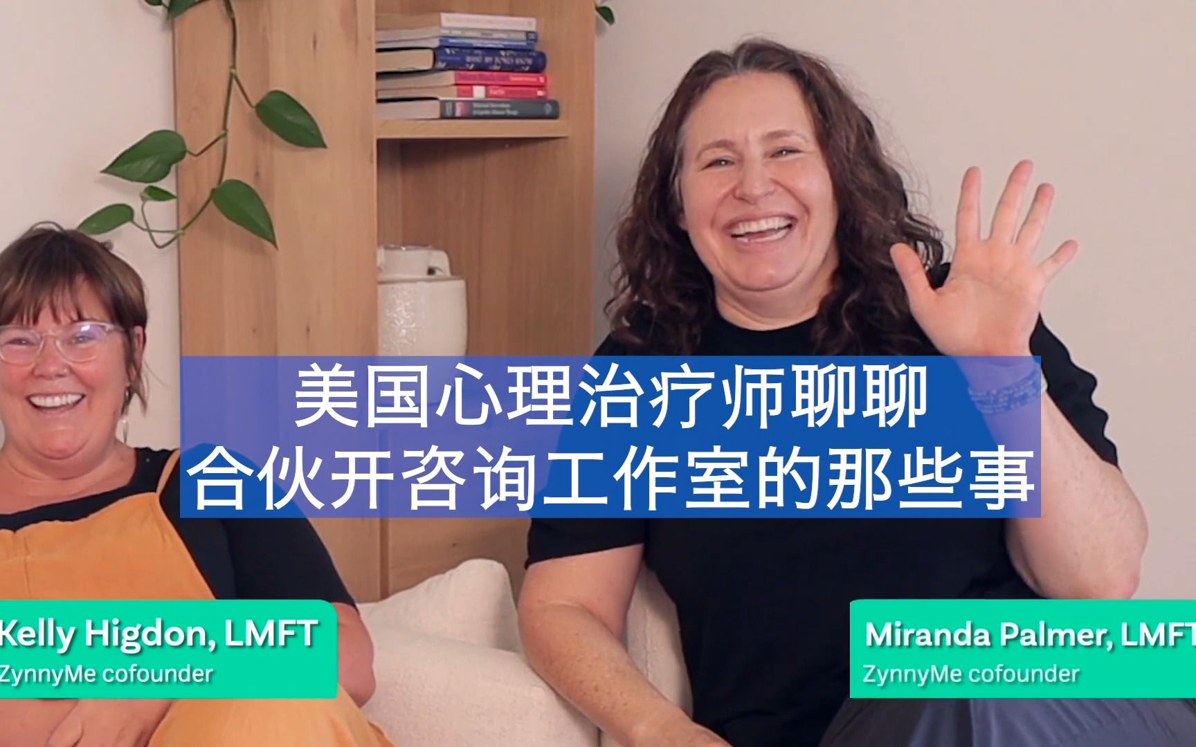 【油管搬运】美国心理咨询师聊聊合伙开咨询工作室的那些事 中英...
