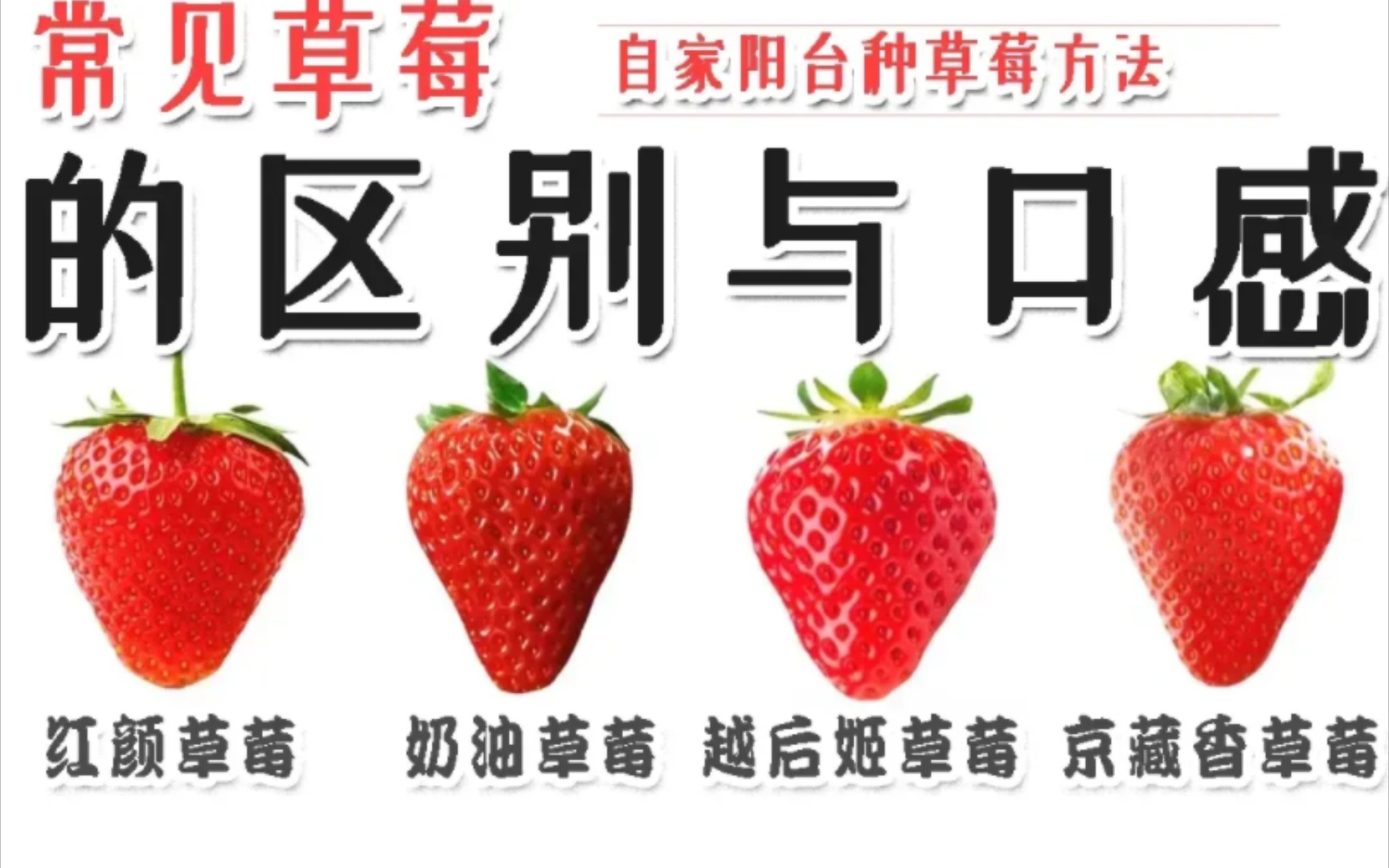 学习的真相
