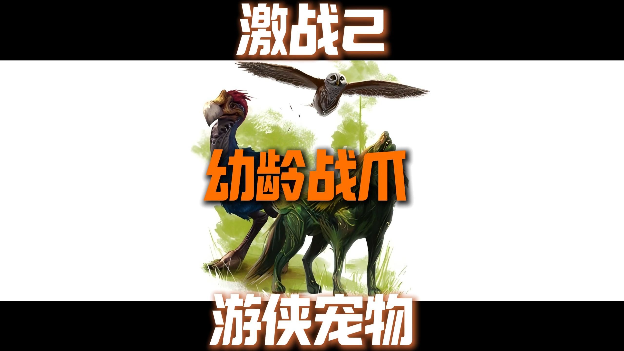 金昆激战2 游侠宠物 幼龄战爪