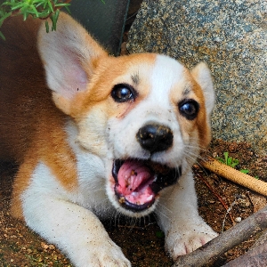 --等风来不如追风去-- 