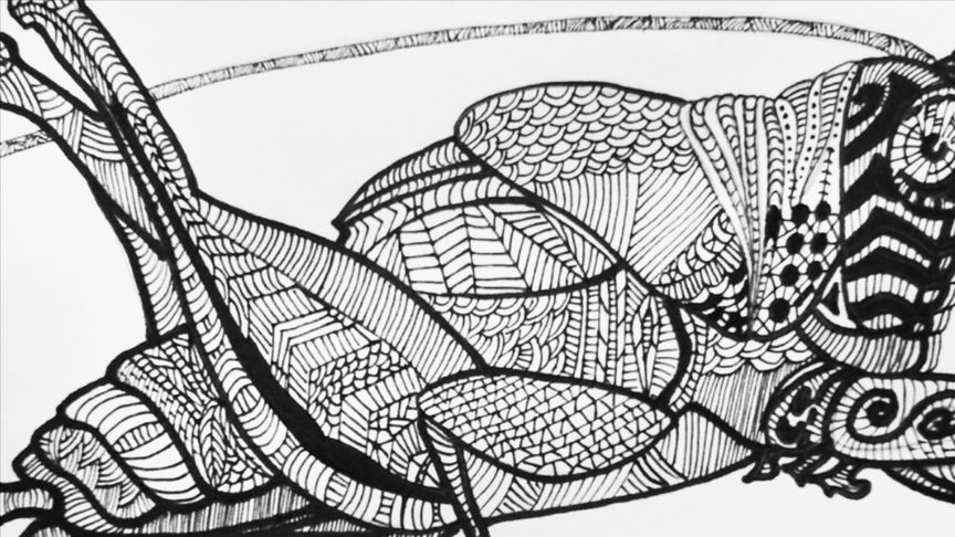【石头美术】工艺美术,平面设计黑白构成,资料参考