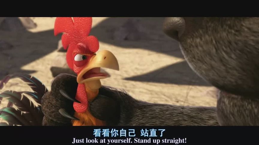 动物总动员:大公鸡太有才,没被吃,还让对手灰溜溜的逃了