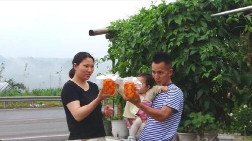 小玉上山摘枇杷,回家自酿两罐枇杷酒,明二哥说喝一斤都不会醉