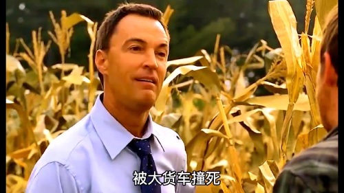 当稻草人冤屈变传奇,连乌鸦都变得胆怯的秘密是什么?