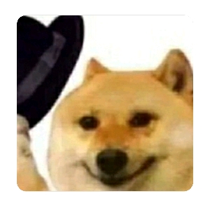 略略略QAQ嘤嘤嘤 