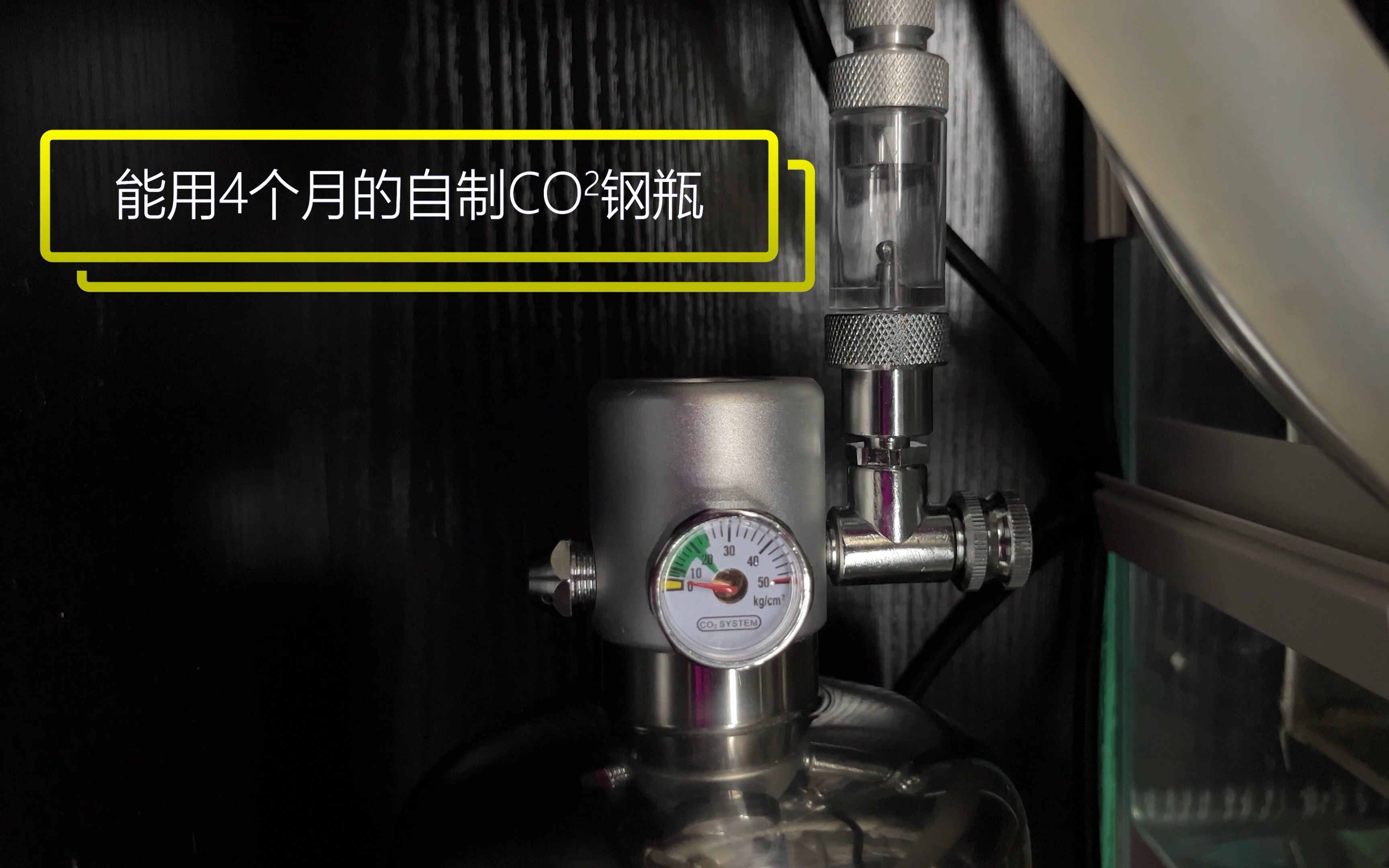 自制CO2钢瓶使用4个月。水族箱 水草缸 配置二氧化碳钢瓶。