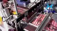 上海歆宝自动化热缩机_全自动高速边封封切机. 礼品袋收缩包装机