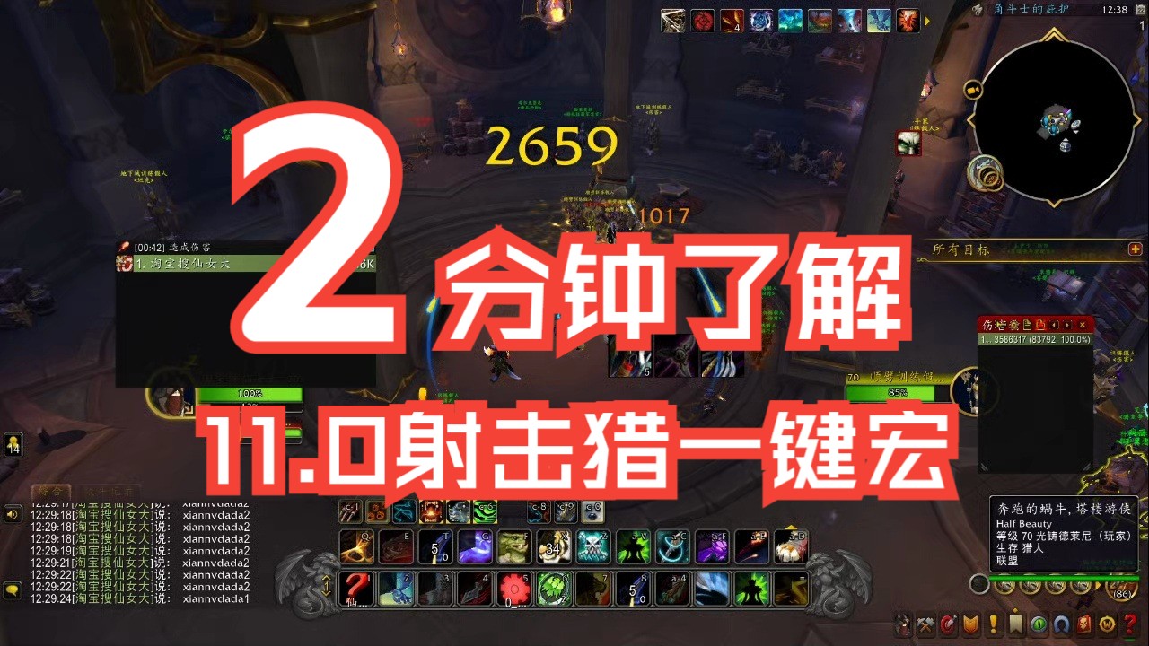 魔兽世界地心之战11.0最新射击猎人射击LR一键宏天赋手法英雄天赋...